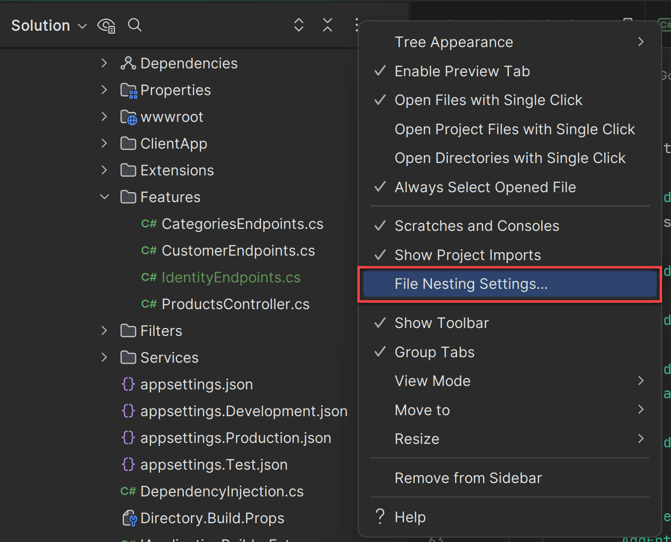 Rider Automatically Nesting Json Configuration Files Dan Does Code