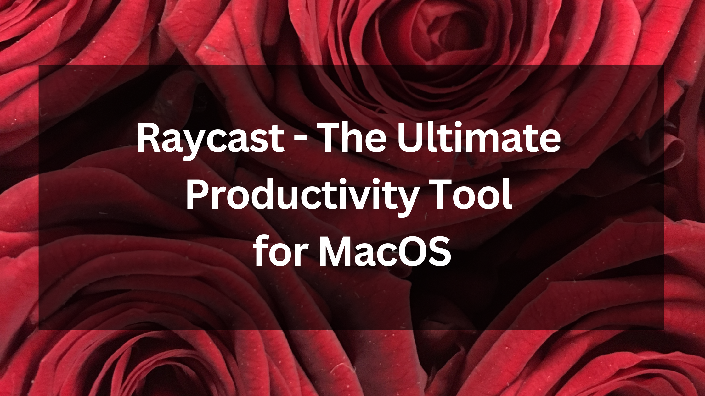 Raycast - The Ultimate Productivity Tool for MacOS | Dan Does Code